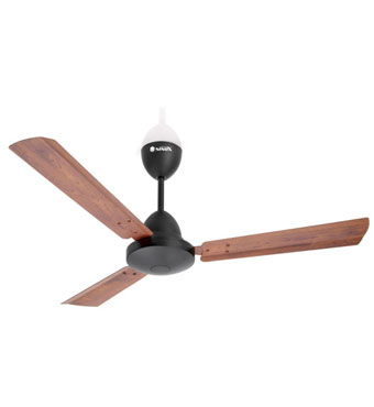 12v Dc Ceiling Fan With Light | Shelly Lighting